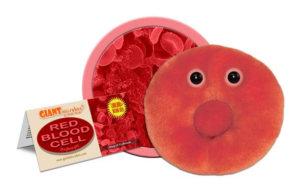 GIANTmicrobe Red Blood Cell (Erythrocyte) Original Plush – Green Beans Toys